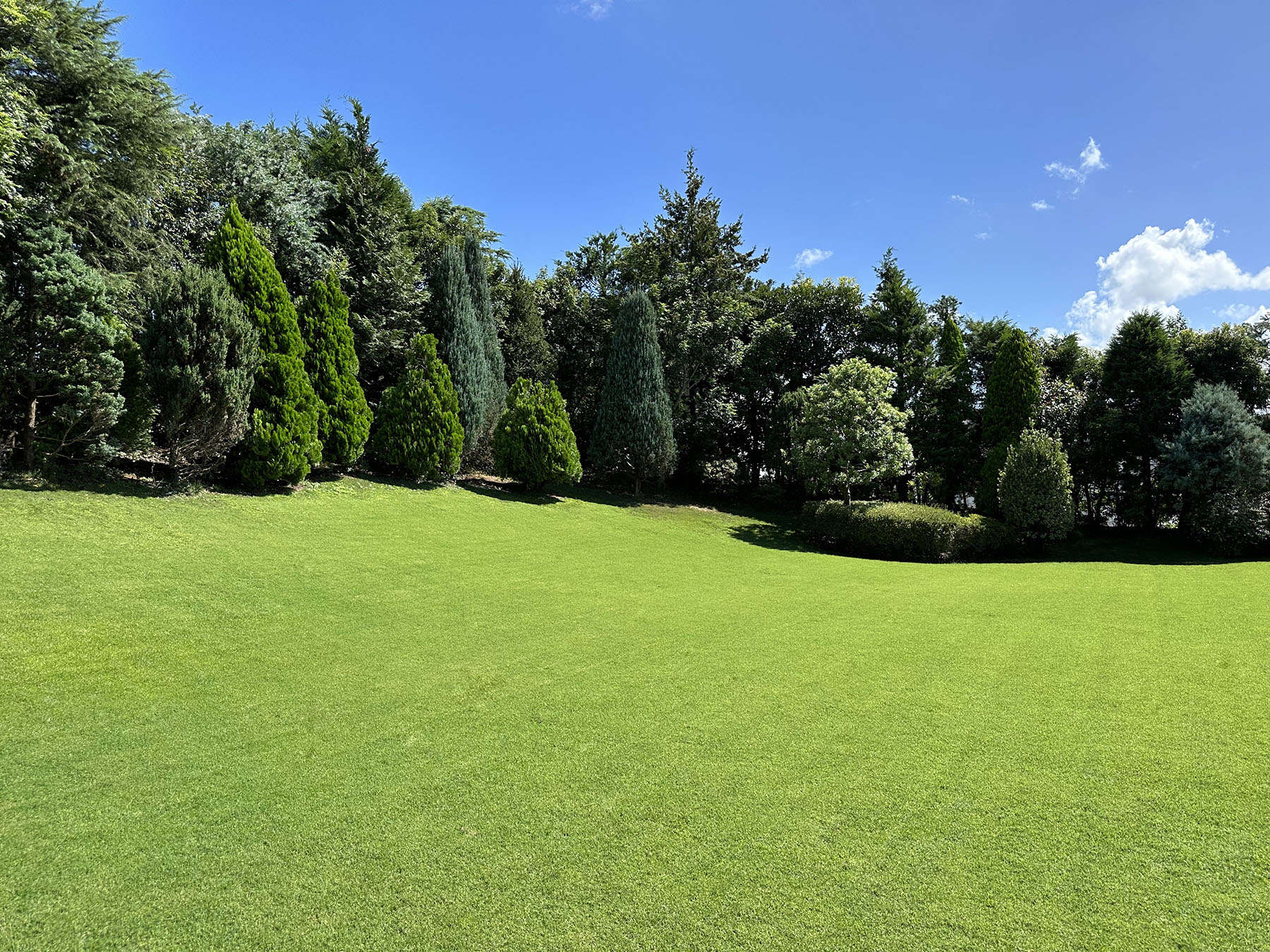 2023年8月10日のADVANCE STUDIO - 自然光あふれる大型戸建てハウススタジオ